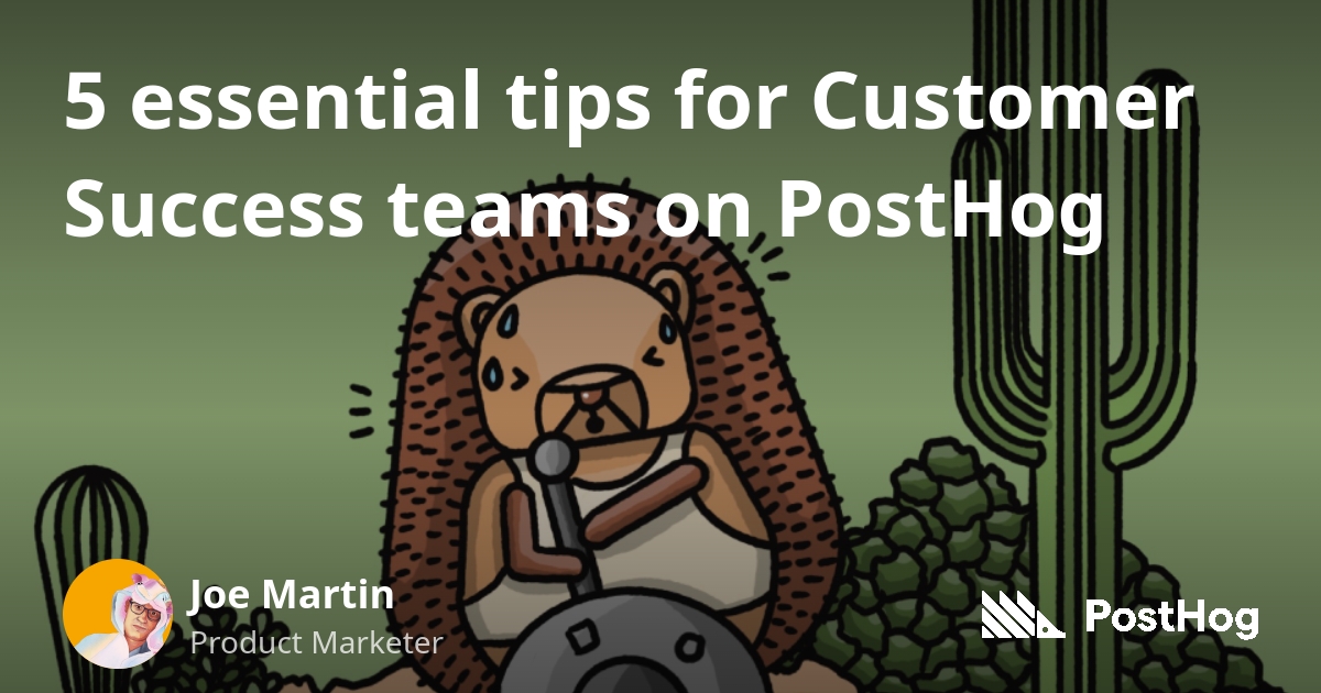 5 essential tips for Customer Success teams on PostHog - PostHog